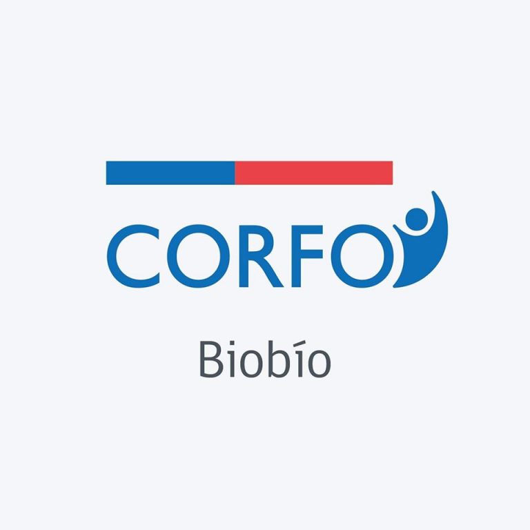 Hidrógeno verde: Corfo lanzará concurso por más de 5 millones de dólares