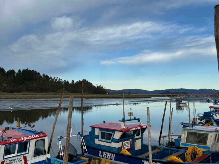 Declaran santuario de la naturaleza al Humedal Tubul Raqui de Arauco