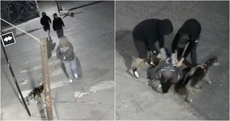 Mujer sufre violento robo mientras paseaba a su perra en Quinta Normal ...